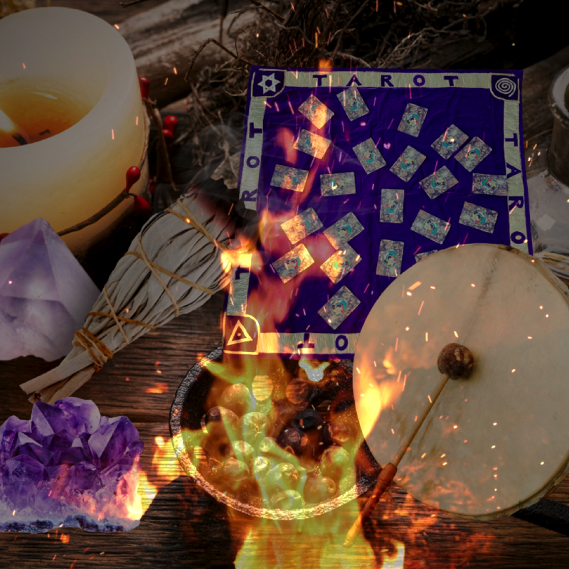 Sivani Mata Francis Events